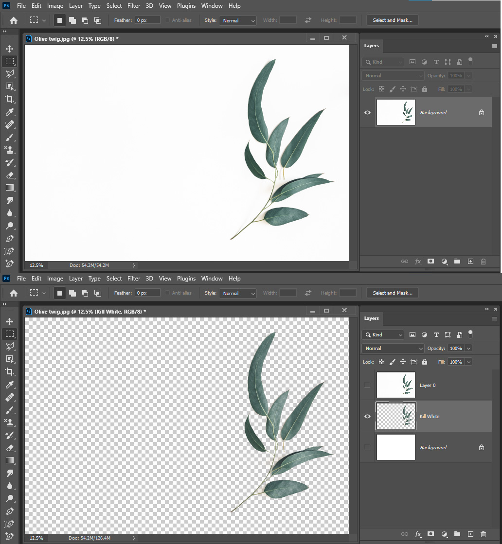 Solved: Super novice asking for kind help please! - comple... - Adobe ...