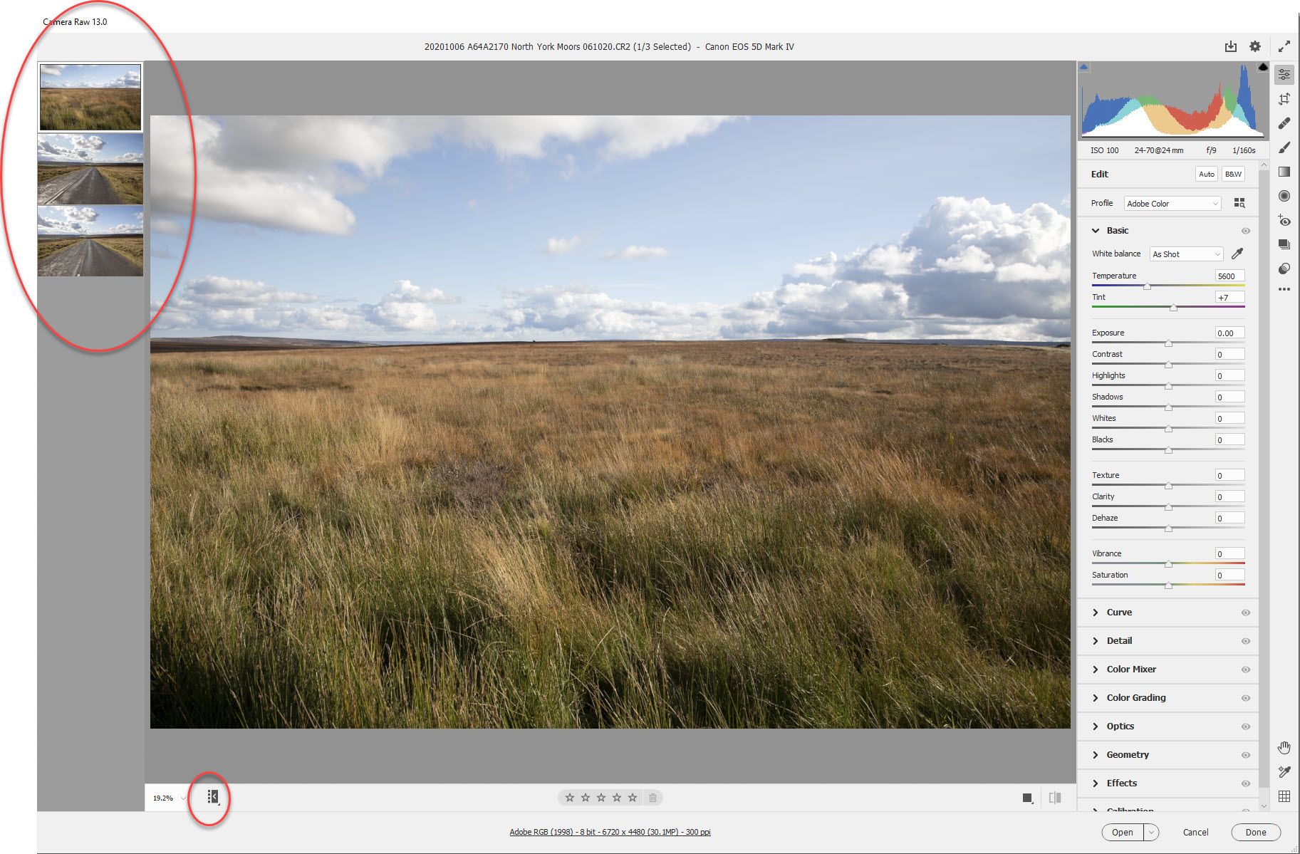 Update - Adobe Product Community - 11532829