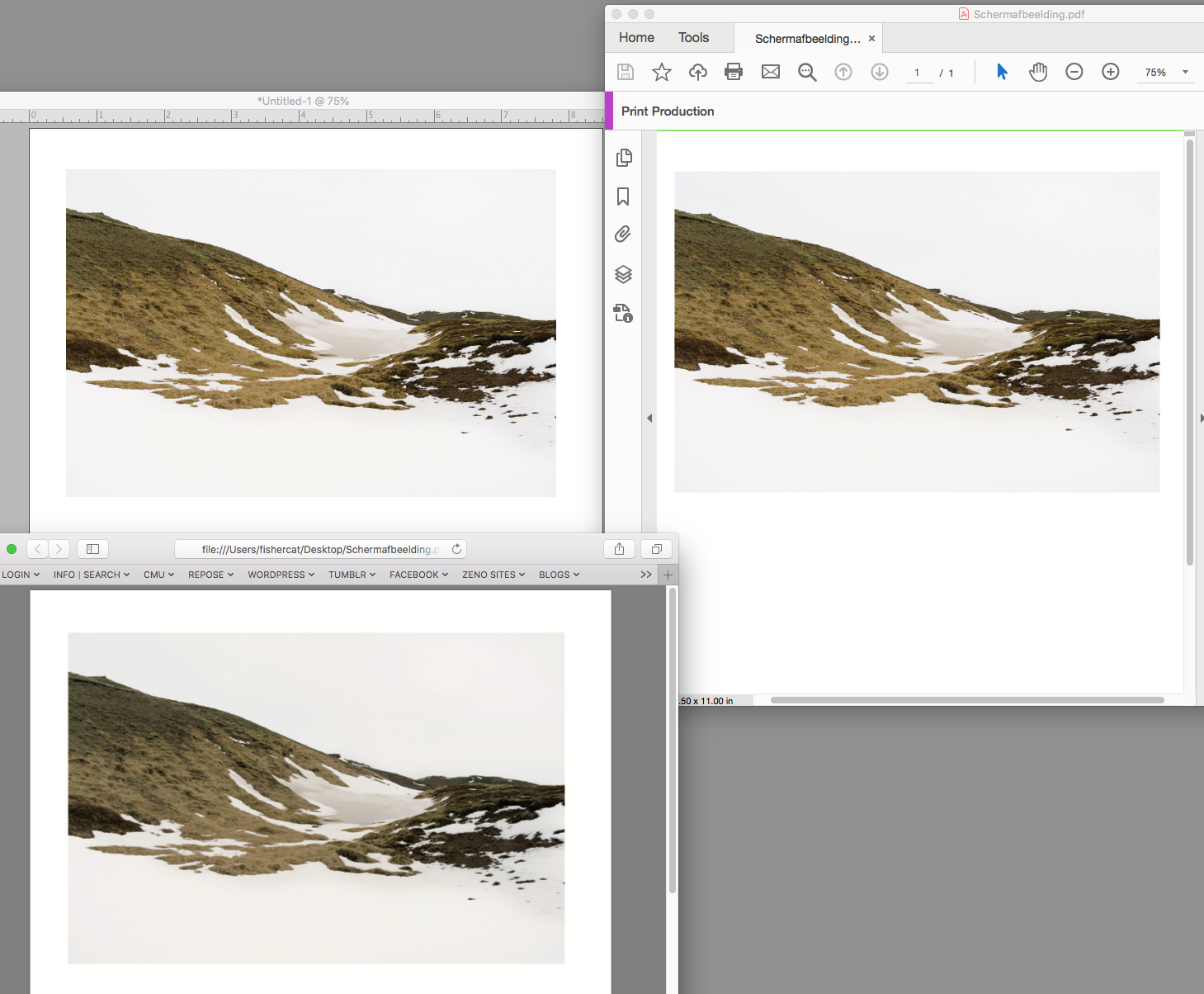 How to get correct color profile - Adobe Product Community - 10691723