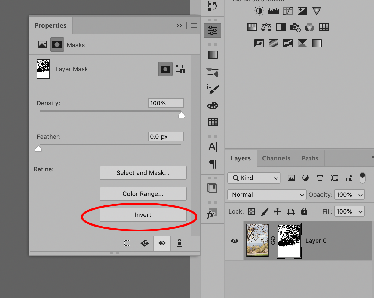 Why all of a sudden my masks are "black reveal" in... - Adobe Product ...