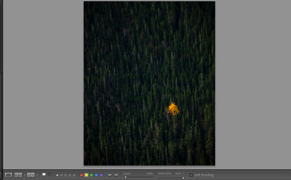 Image preview showing too dark/too much contrast u... - Adobe Support ...