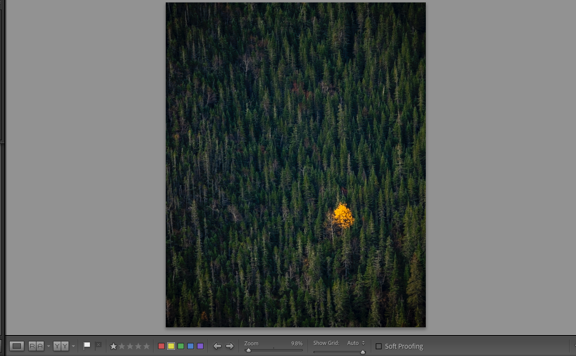 Image preview showing too dark/too much contrast u... - Adobe Support ...