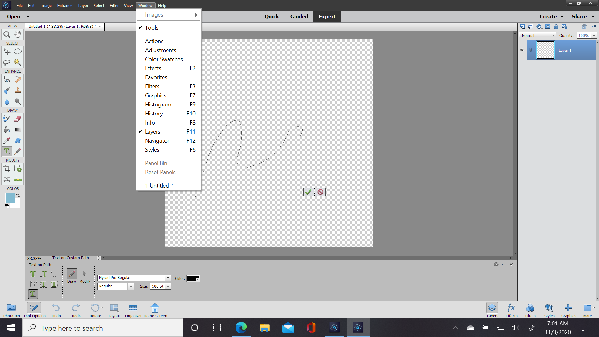 Adobe Photoshop Elements 10 Pen tool - Adobe Community - 3812180