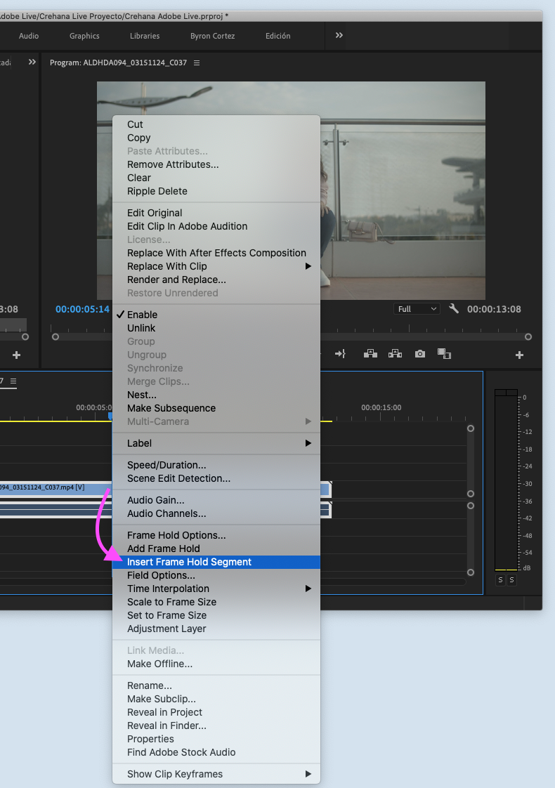 How do I freeze my video, and not fade to black? - Adobe Product Community - 11572080