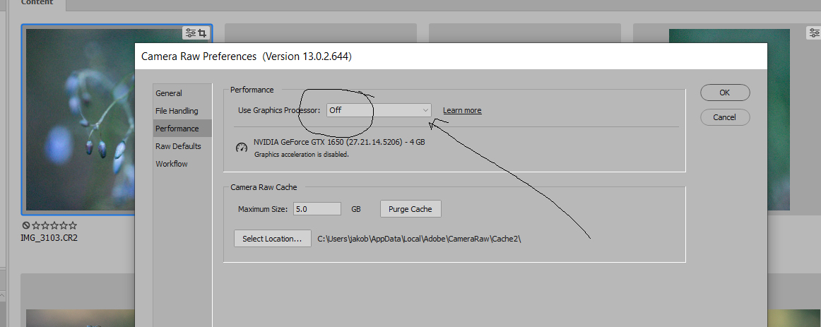 Solved Unable To Save The Raw Conversion Settings In Came Adobe