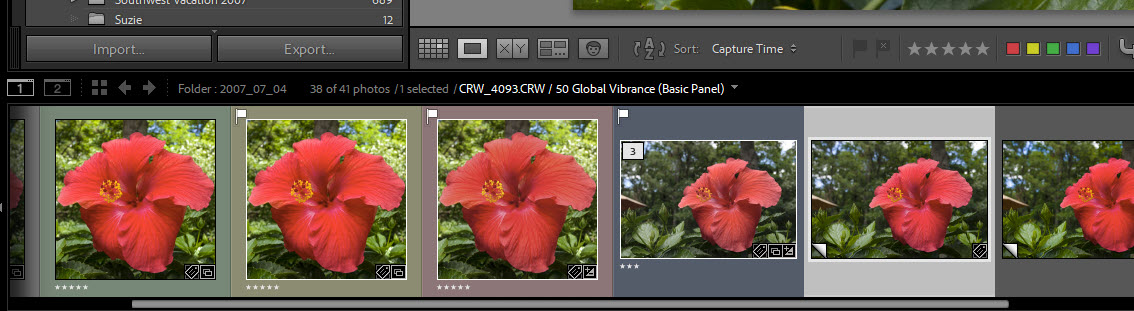 Lightroom Library Layout - Adobe Product Community - 11613941