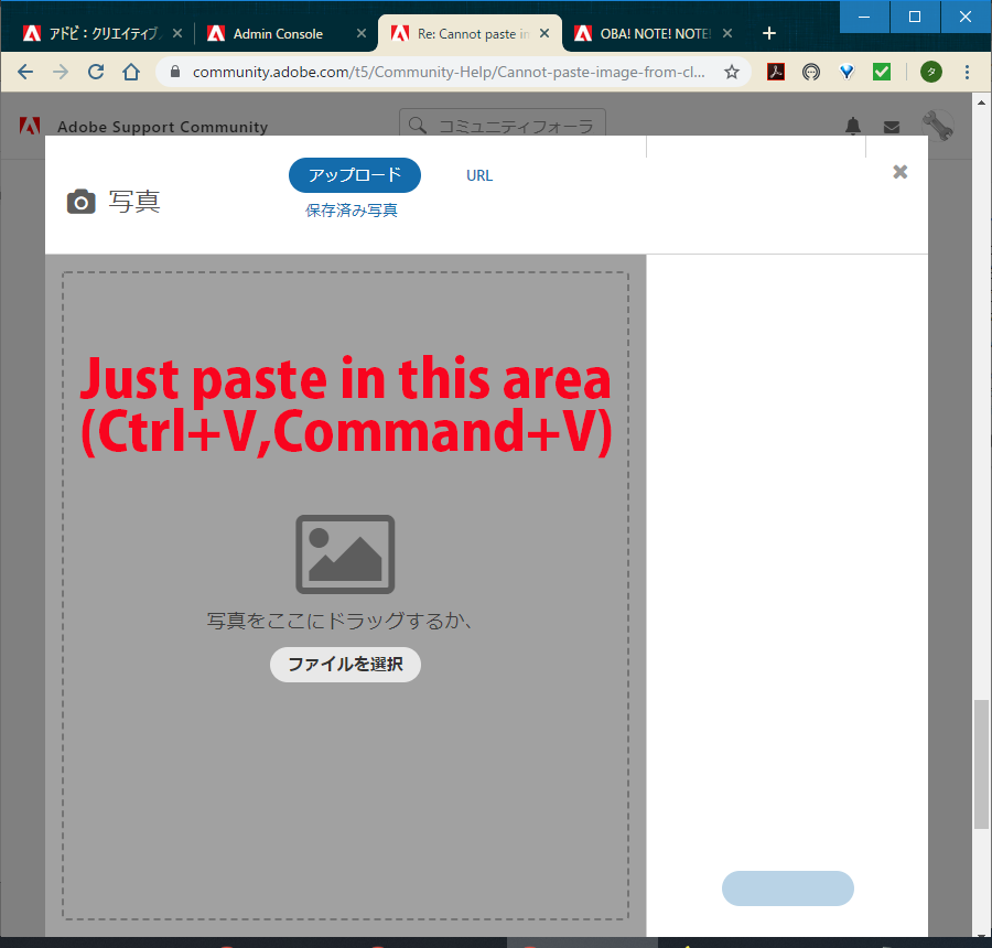 Solved: Re: Cannot paste image from clipboard into a threa... - Adobe ...