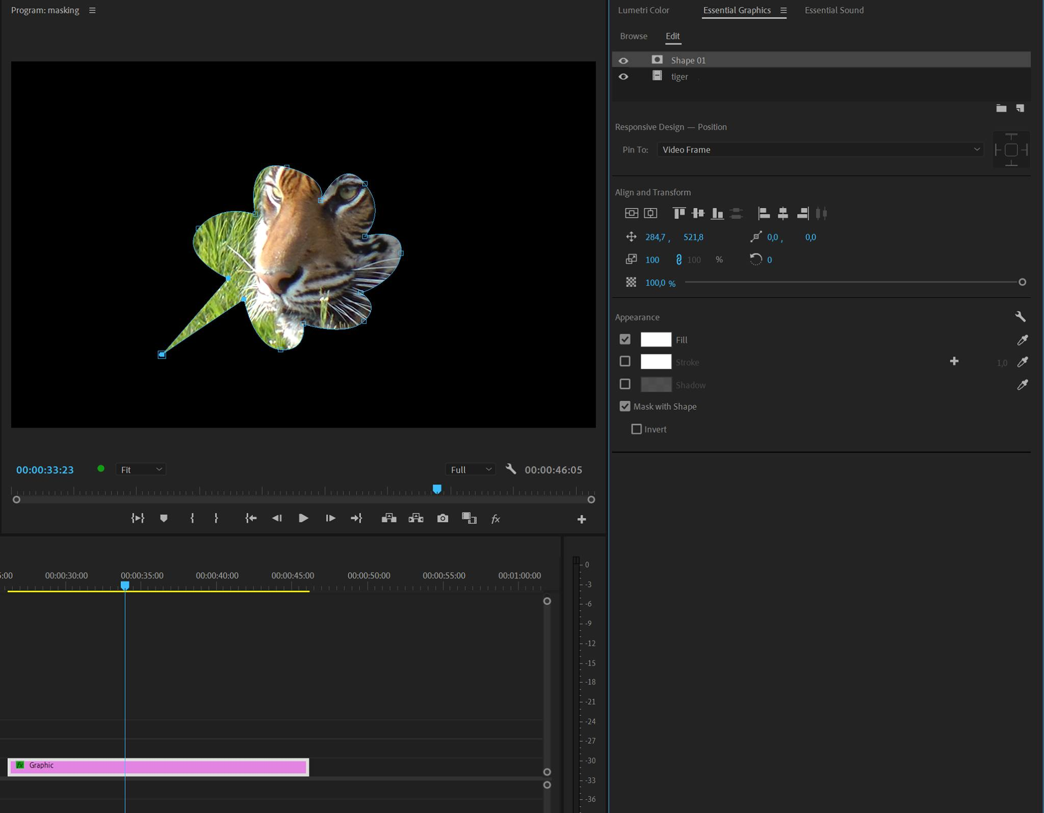 Pin Mask - Adobe Product Community - 11650218