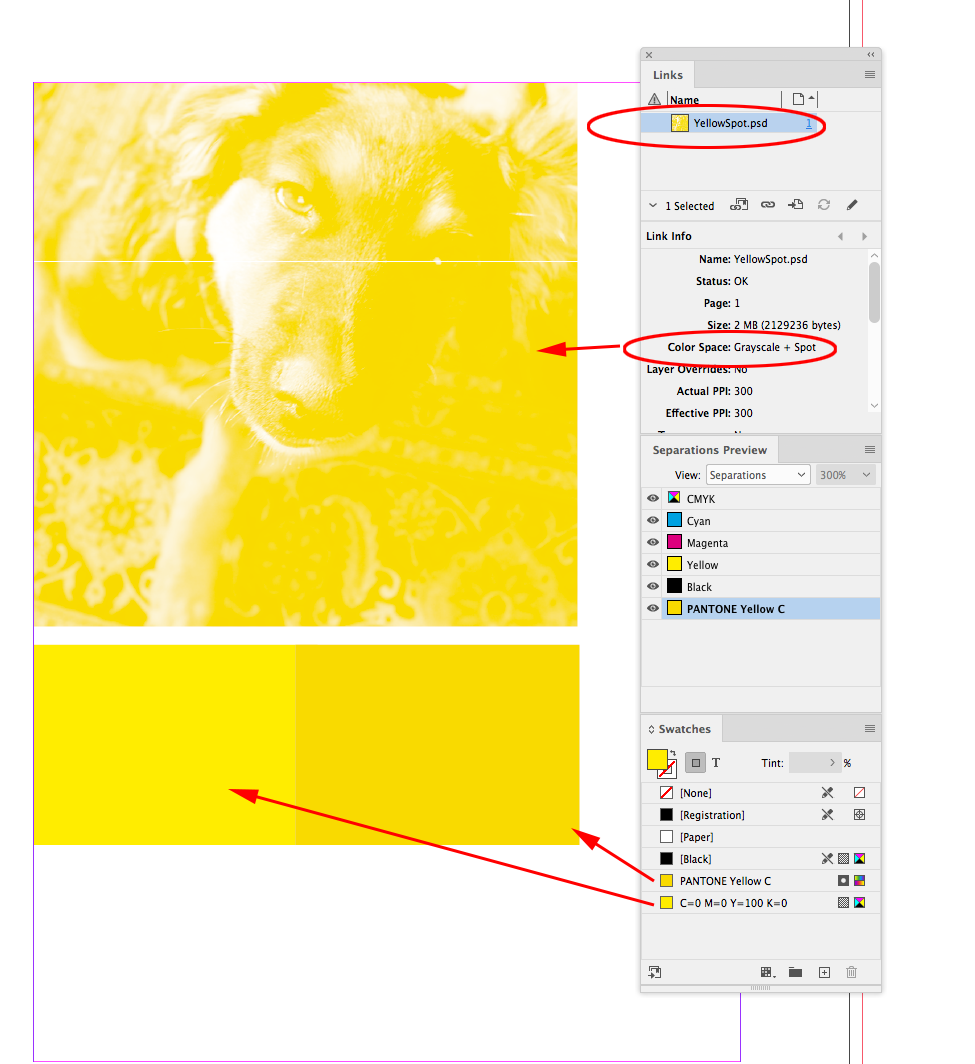 Solved: inDesign (and Illustrator) won't open Pantone Yell... - Adobe ...