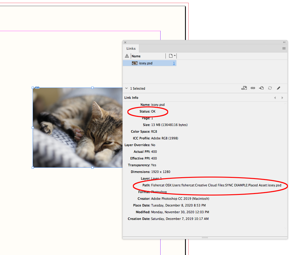 Solved: Do Indesign links work with Adobe Cloud (multiple ... - Adobe ...