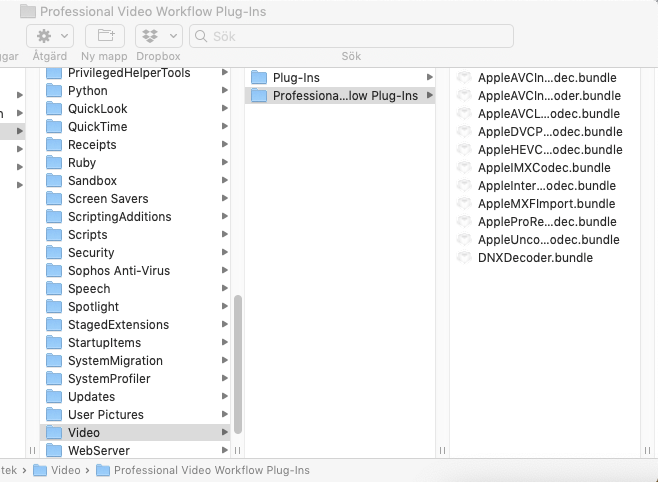 Solved: ProRes RAW can't be decoded after Pro Video Format... - Adobe ...