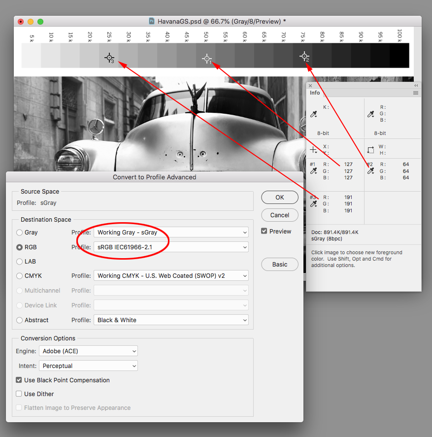 RGB value conversion from Dot Gain 20 to Dot Gain ... - Adobe Product ...