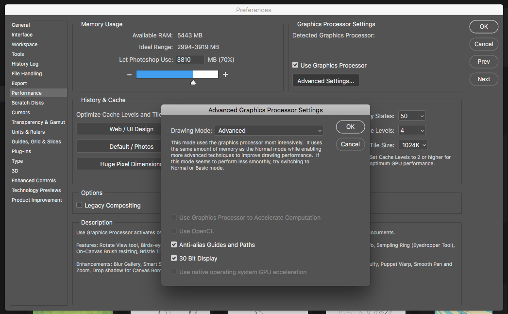 Solved Cant Rotate Canvas Due To Opengl Error Os X High Adobe