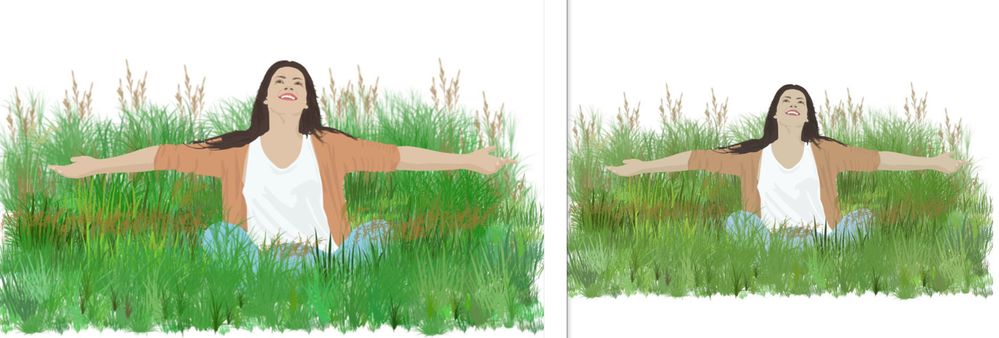 Solved: Website uploads look washed out - Adobe Product Community ...