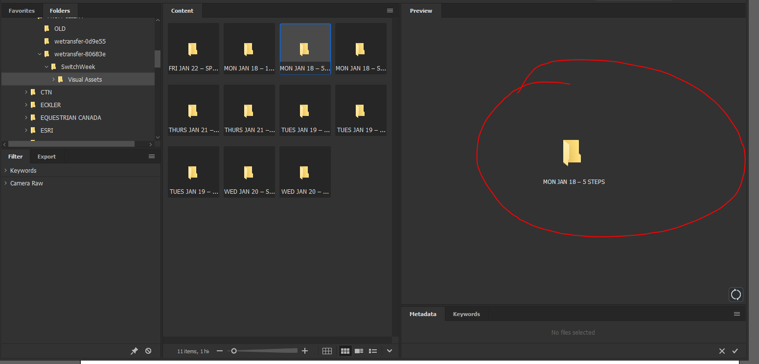 Preview of folder contents - Adobe Product Community - 11716290
