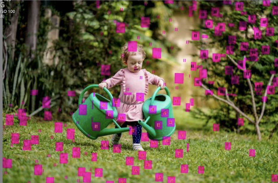 Visual distortions created by problems with the gr... - Adobe Product ...