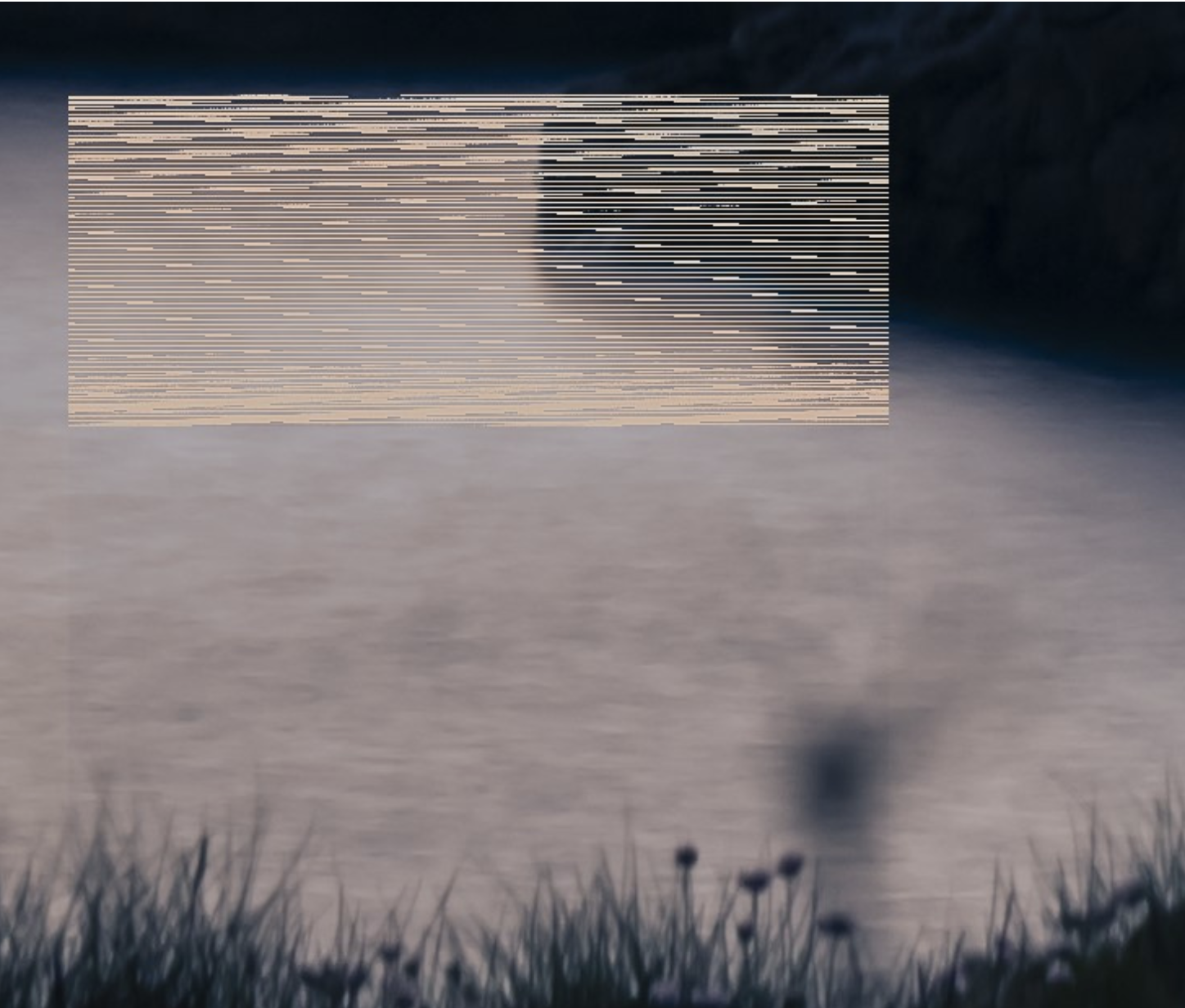 Visual distortions created by problems with the gr... - Adobe Product ...