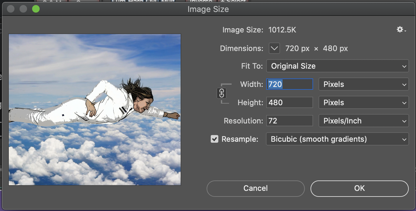 PS 2020 exporting GIF creates large file - Adobe Community - 11766730