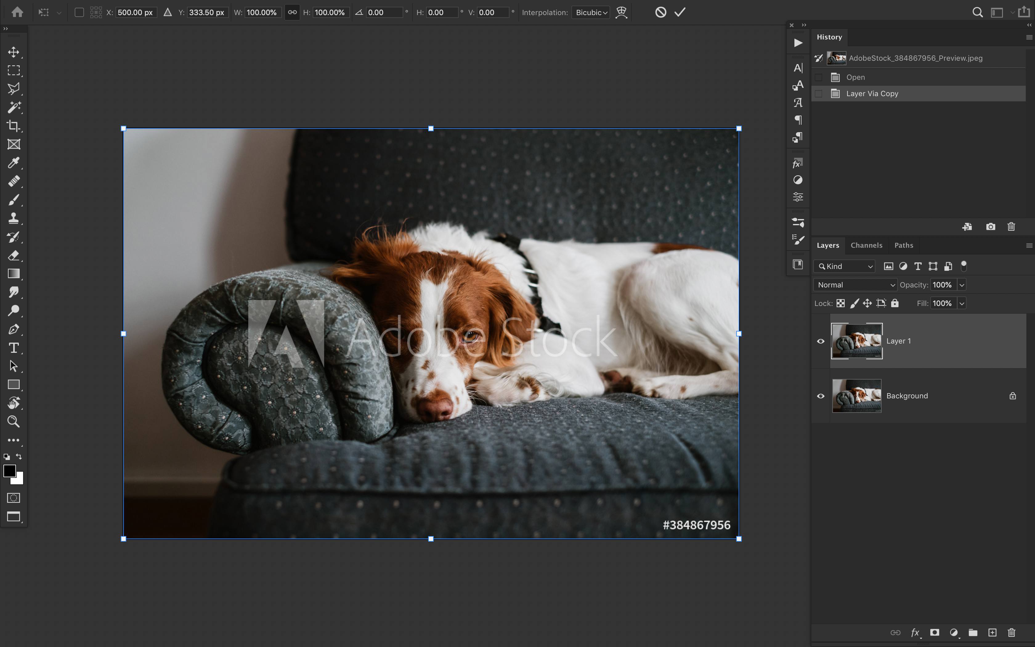 Full screen mode causing distortion - Adobe Community - 11779967