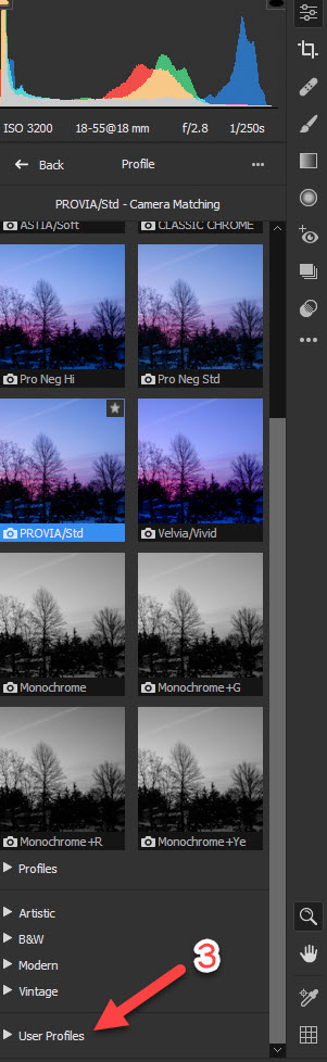 Solved: colors profiles in RAW - Adobe Product Community - 11799801