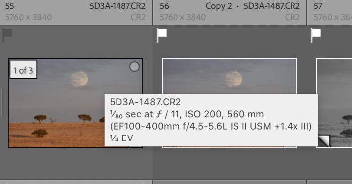 File name text color - Adobe Community - 11808483