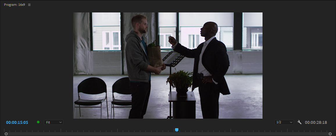 PILLARBOXING in Premiere Pro - Adobe Product Community - 11813597
