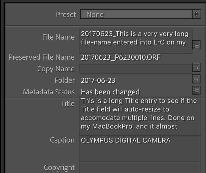 Support for seeing long file names and titles - Adobe Community - 11818041