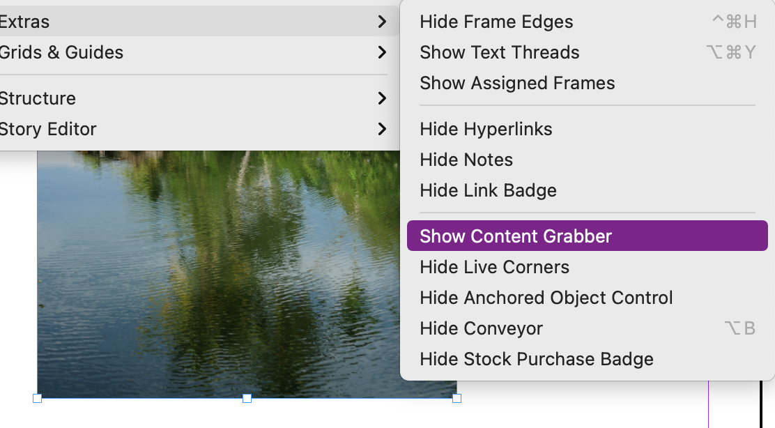 Content grabber not showing when I share my screen... - Adobe Product ...