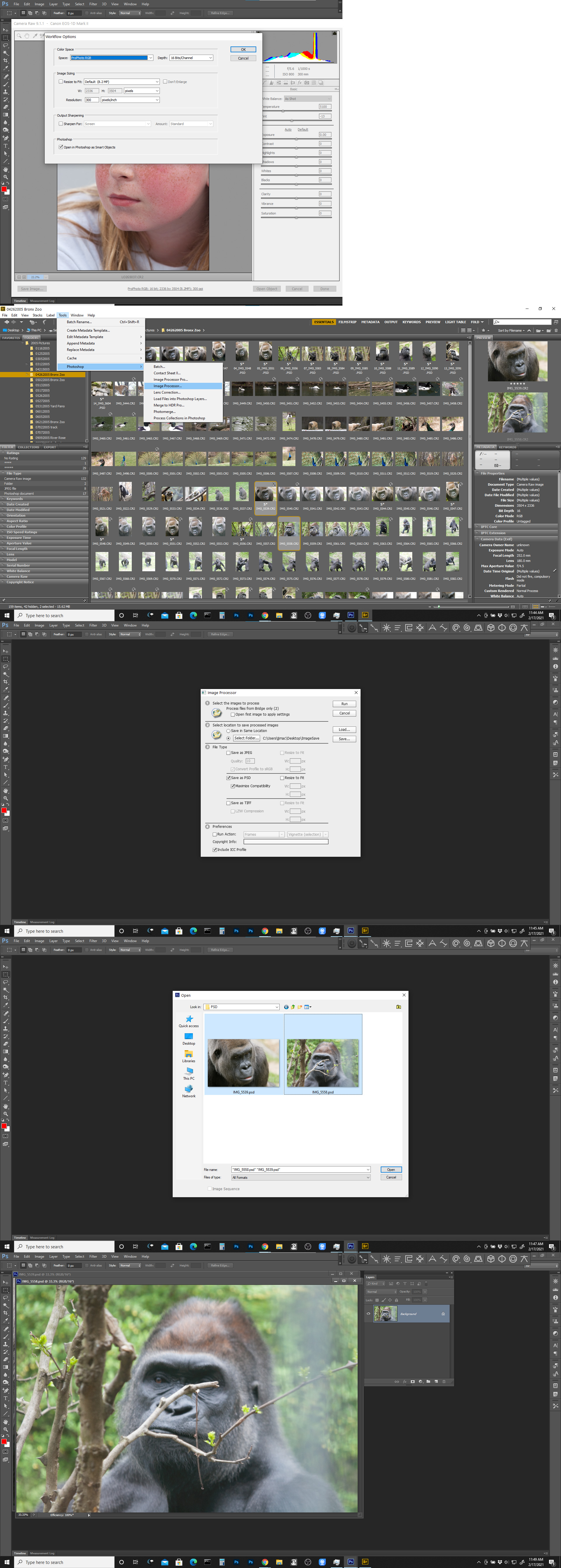 Script to create new .psd with embedded raw file a... - Adobe Product ...