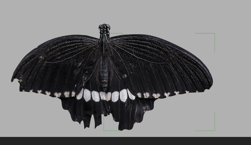 Rotating a 3d selection - Adobe Community - 11844084