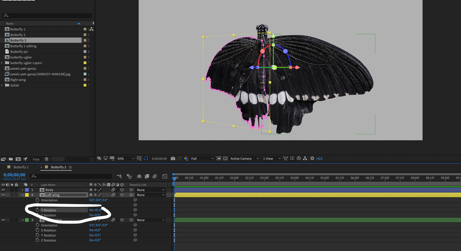 Rotating a 3d selection - Adobe Community - 11844084