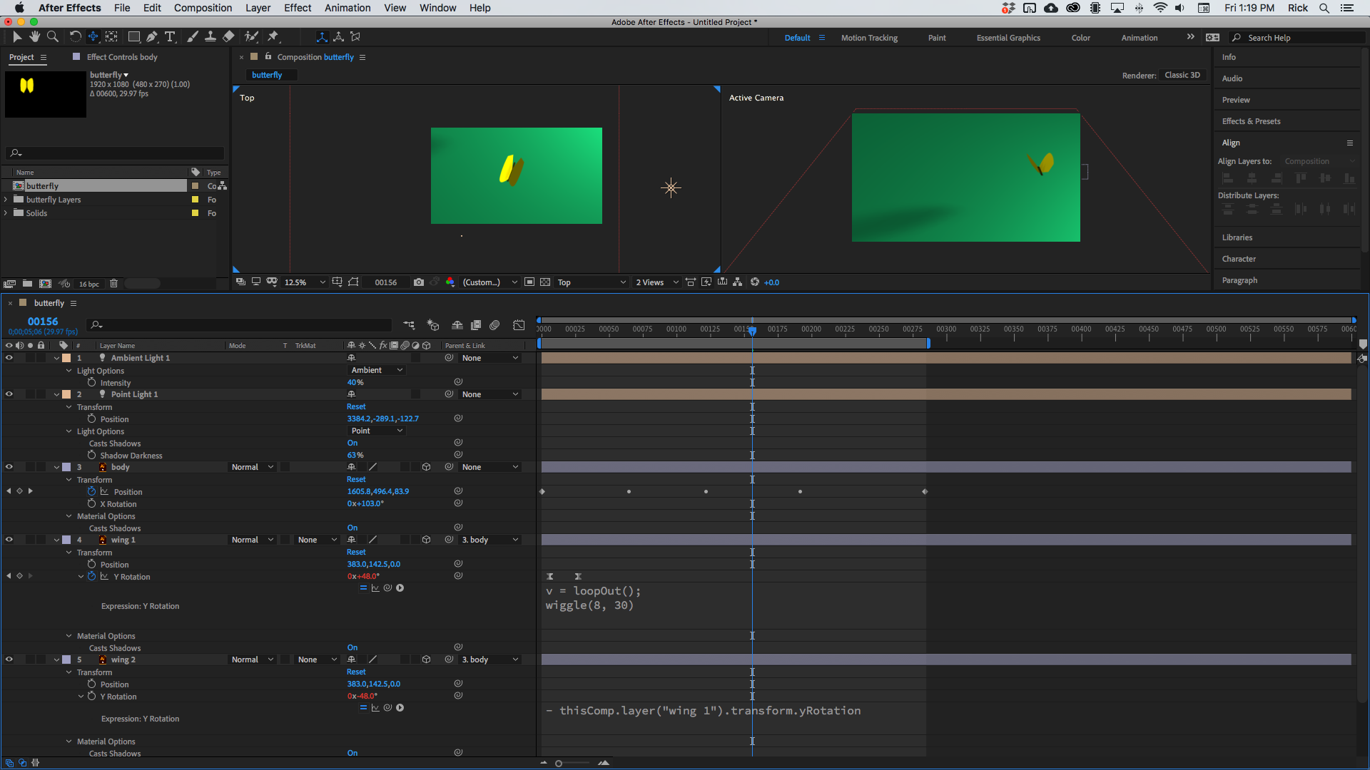 Rotating a 3d selection - Adobe Community - 11844084