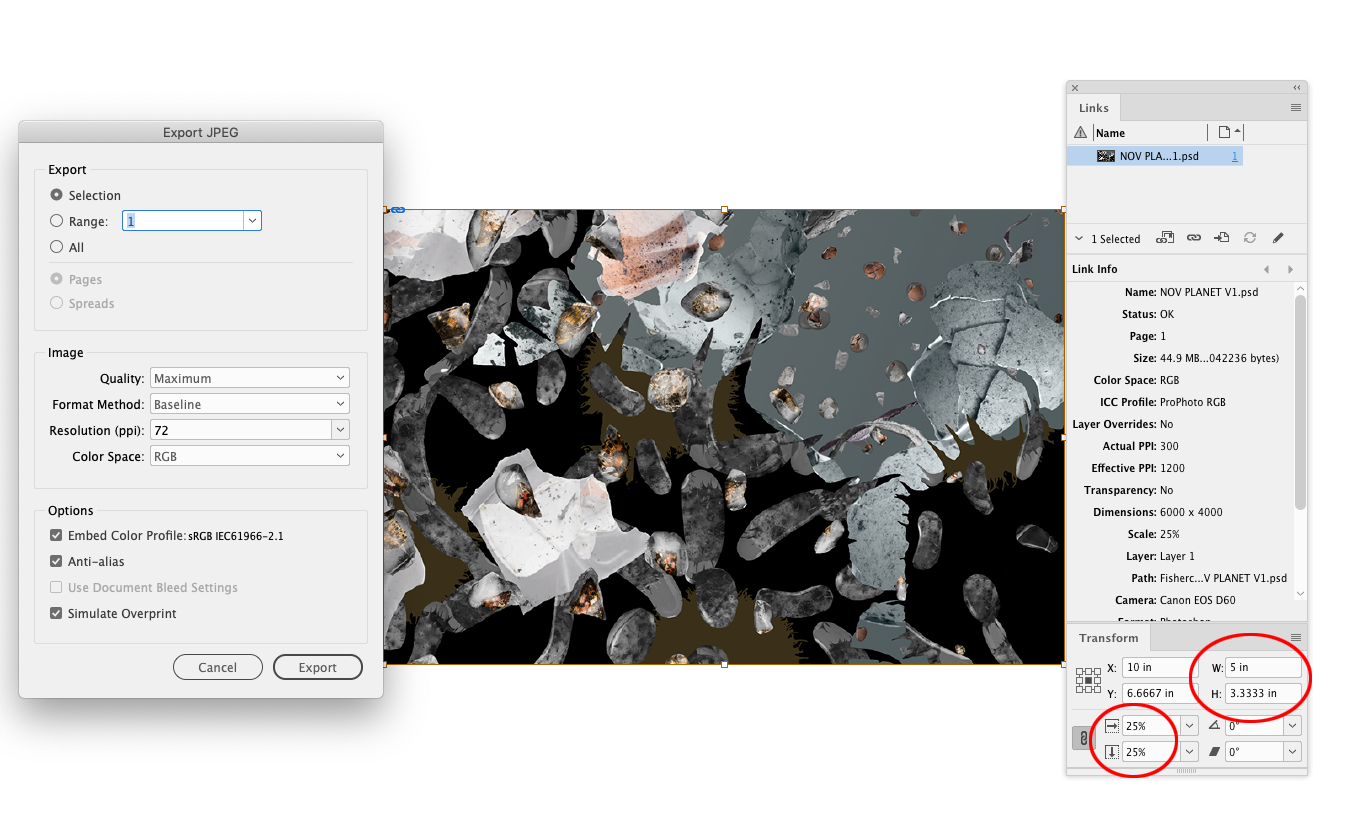 InDesign export 300dpi to 72dpi - Adobe Community - 11856631