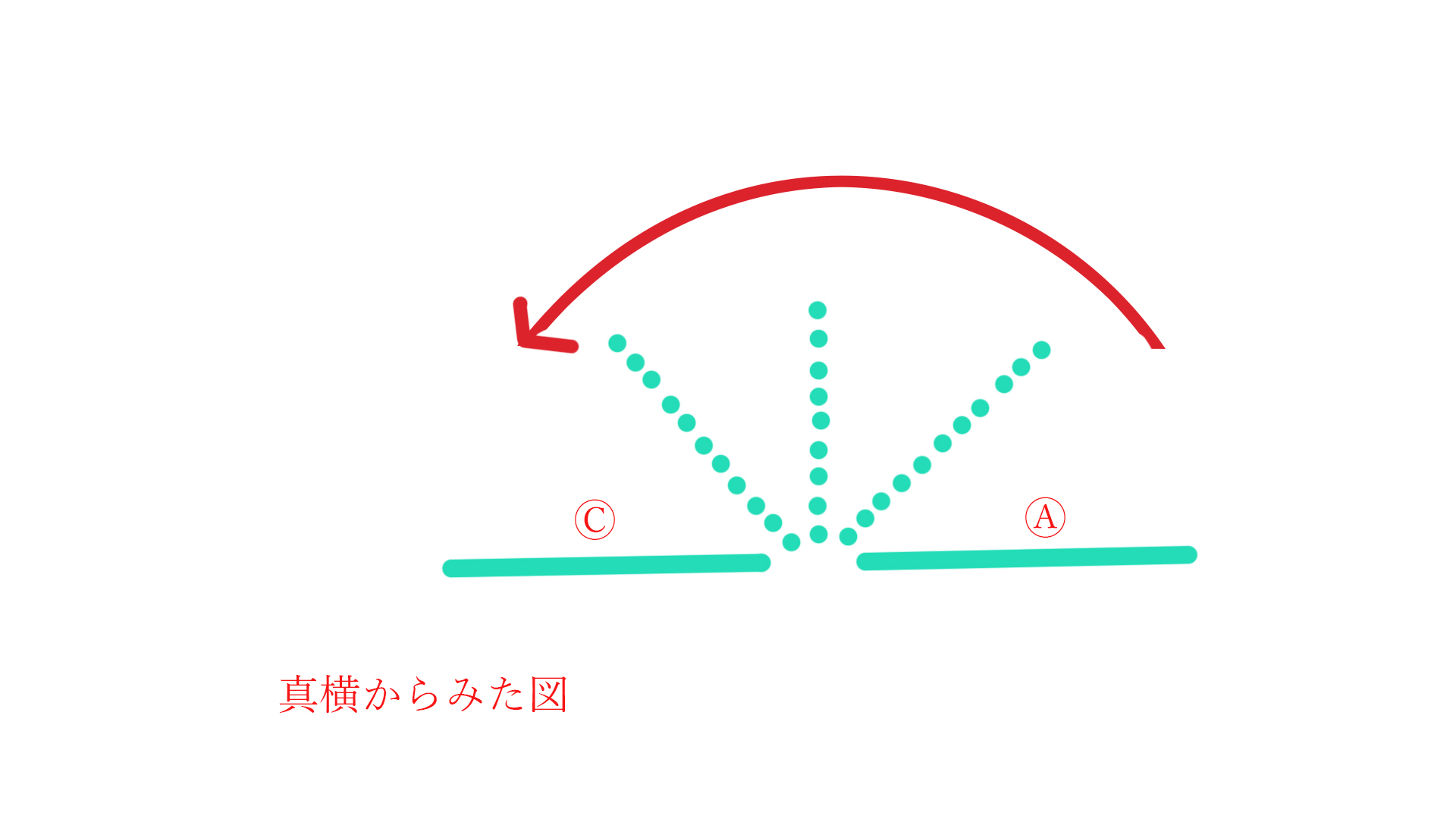 多角形シェイプの3Dの回転について - Adobe Product Community - 11858594