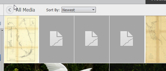 Solved: What Causes Broken Thumbnail In Organizer 2020 - Adobe Product ...