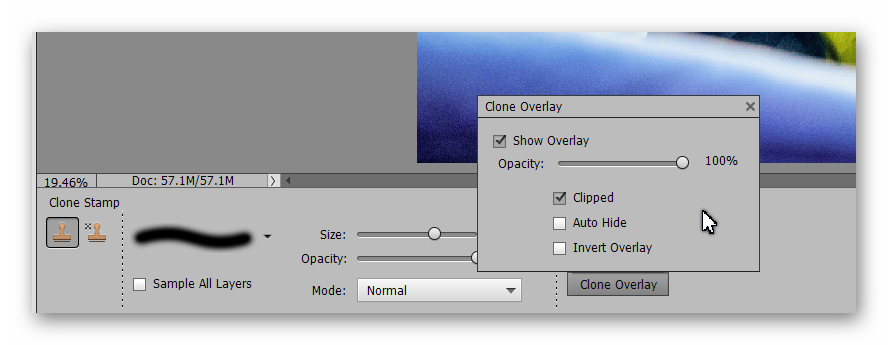 Photo element 2018 clone stamp - Adobe Support Community - 10725478