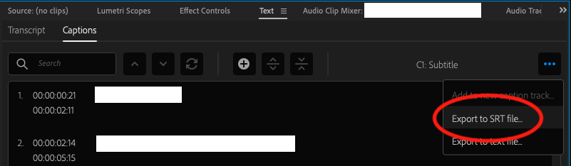 Export the captions as a separate SRT file - Adobe Community - 11689392