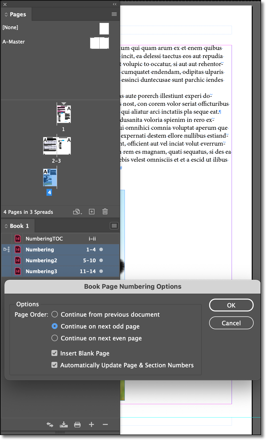 InDesign Book File - verso and recto pages are not... - Adobe Support ...