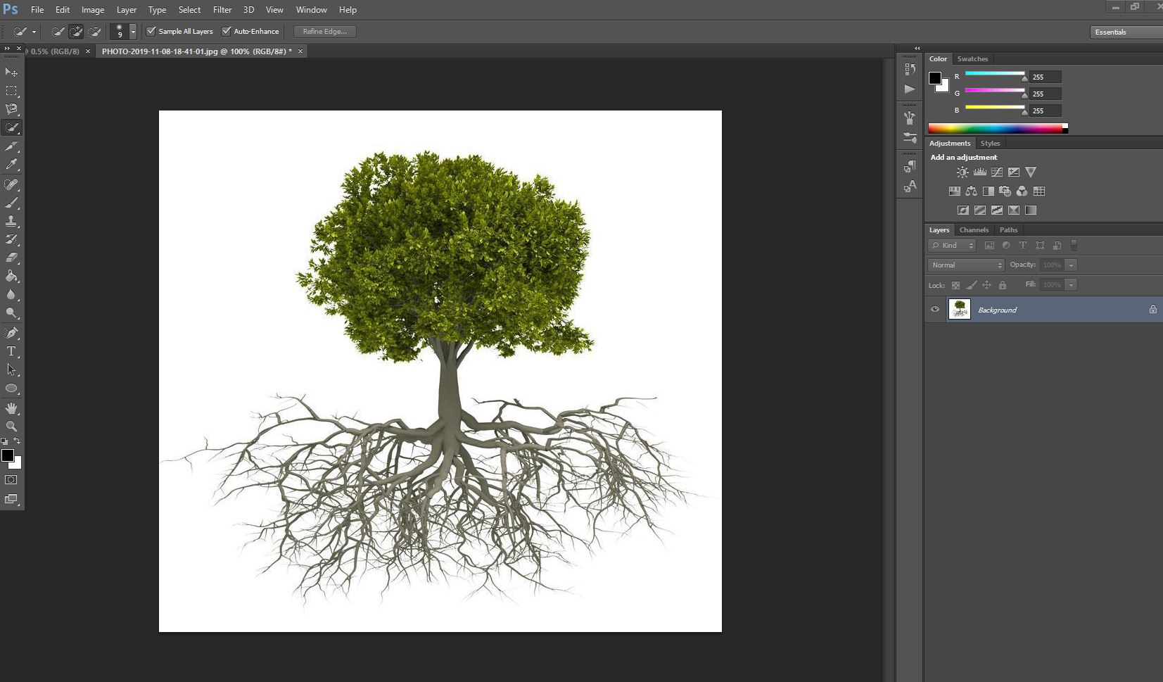 How do i make the treee white and the background ... - Adobe Community ...