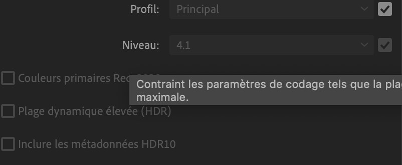 Pixelisation video export - premiere pro - Adobe Product Community ...