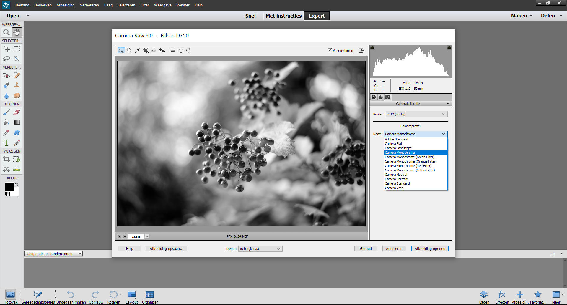 Solved: Monochrome filters: red, green, orange, yellow are... - Adobe ...