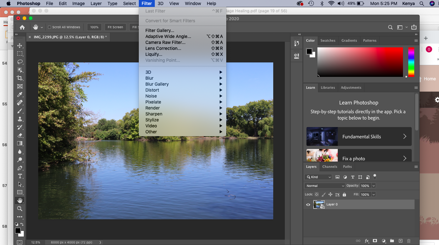 Solved: Filter->convert to smart filter grayed out in Phot... - Adobe Product Community - 10731600