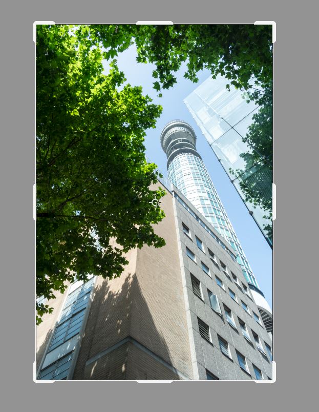 Solved: Handles On Crop Tool - Adobe Community - 10734703