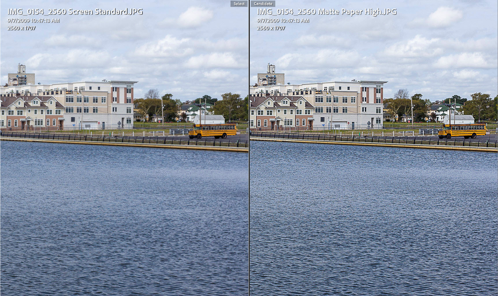 My image loses sharpness when I export more than o... - Adobe Product ...