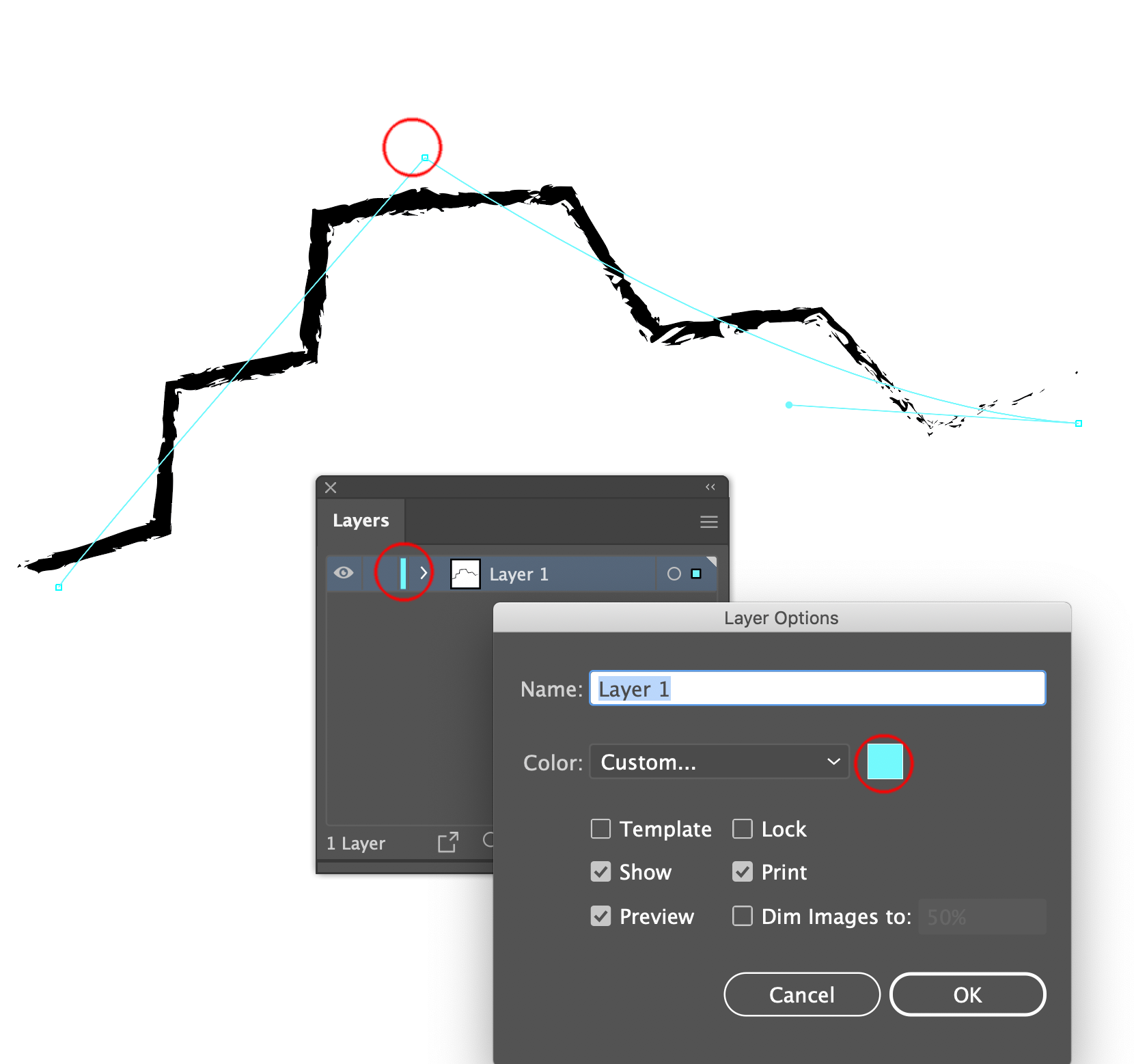Solved: Blue Outlining on Paths - Adobe Community - 12010042