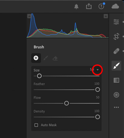 Adjustment brush isnt applying edit. - Adobe Community - 12015105