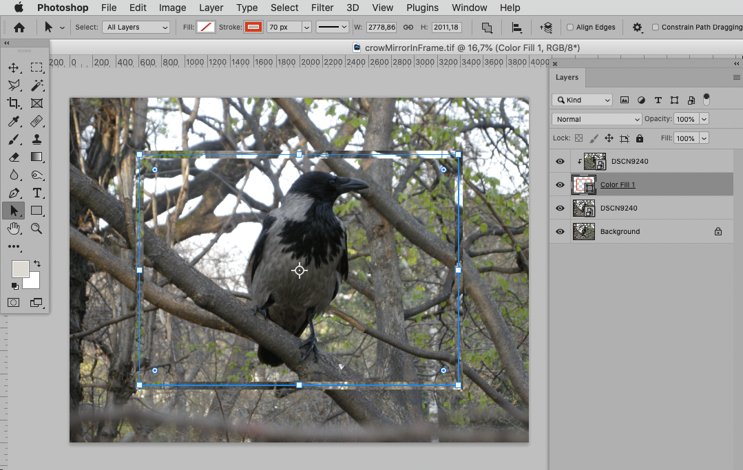 how to create this effect? - Adobe Community - 12017354