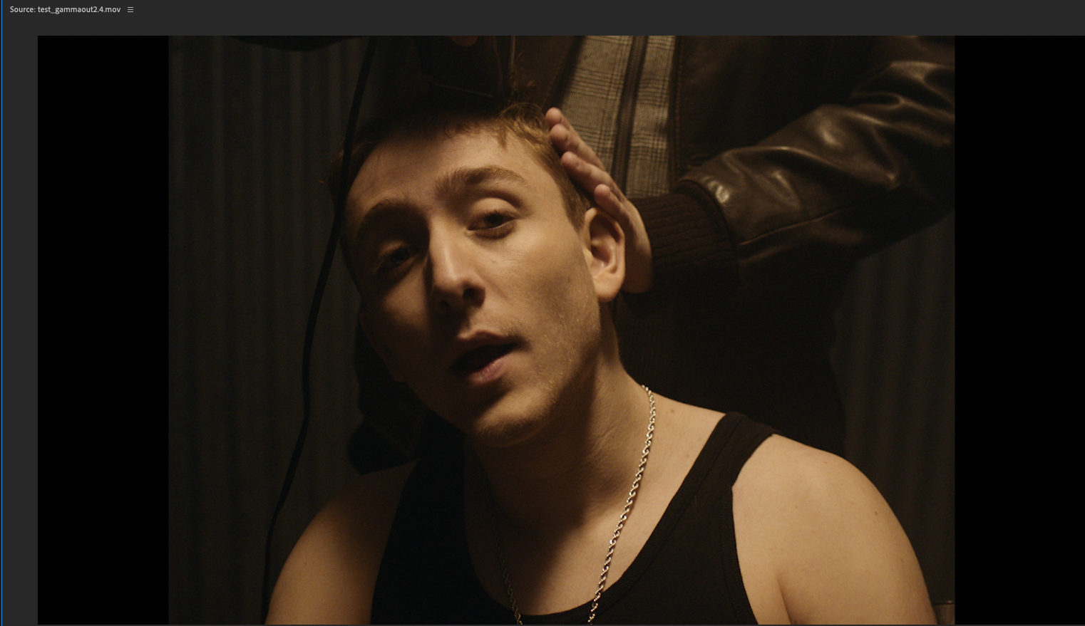 Gamma 2.2 vs 2.4 - Gamma shift on export - WTF Ado... - Adobe Product ...