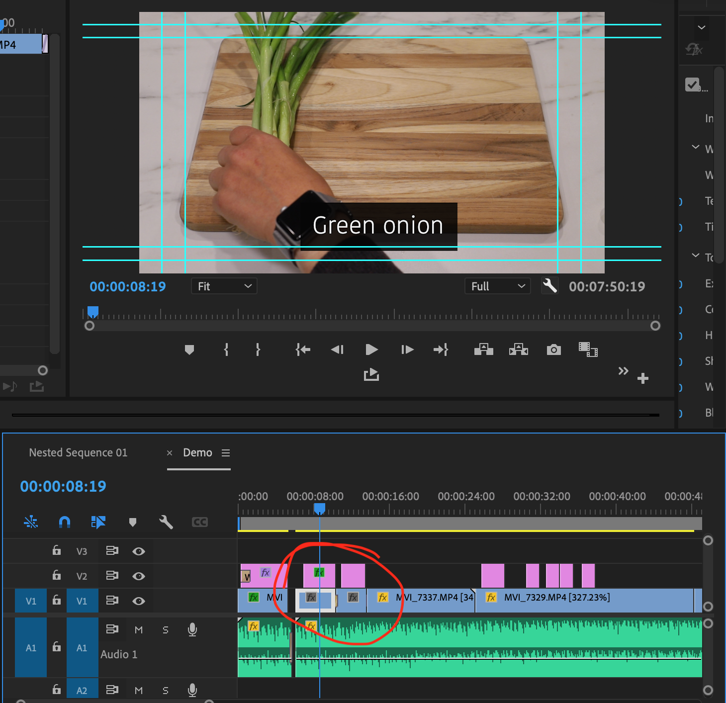 Picture settings in clip blip in and out after exp... - Adobe Community ...