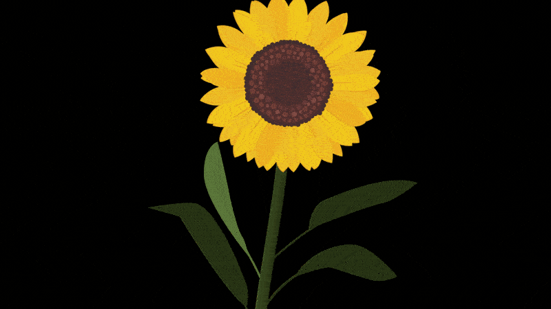 Random screen-tear blur with 3D camera - Adobe Product Community - 12127246